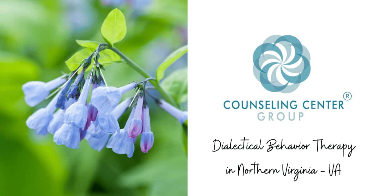 Northern Virginia DBT: Therapy for Lasting Change