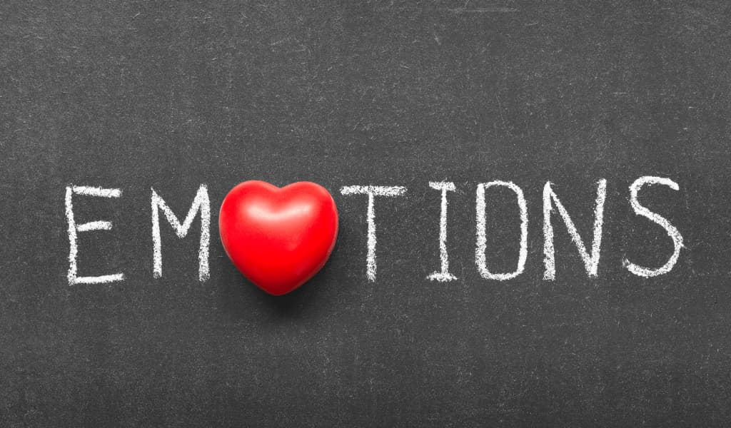 What Are the Emotions? A Guide to Understanding Feelings