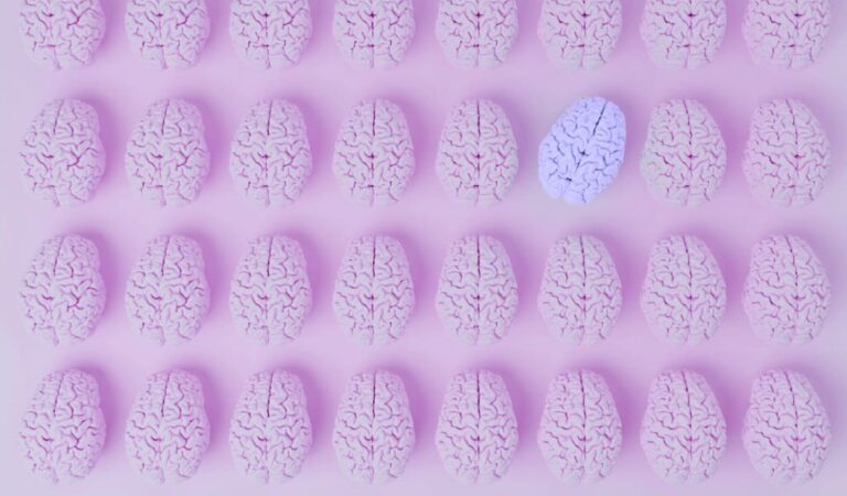 Neurotypical vs. Neurodivergent Brain: What You Need to Know